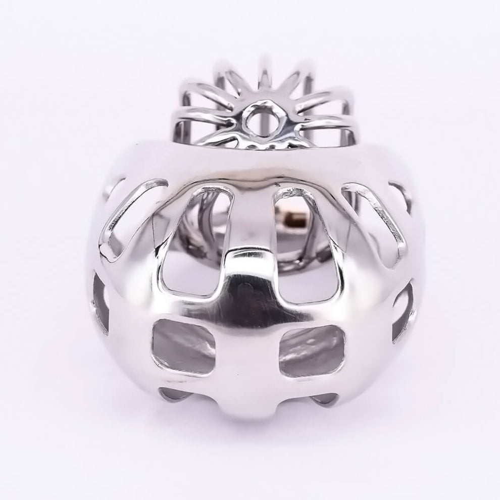 Male Cock Cage with Scrotum Testicle Pouch – Chastity-device